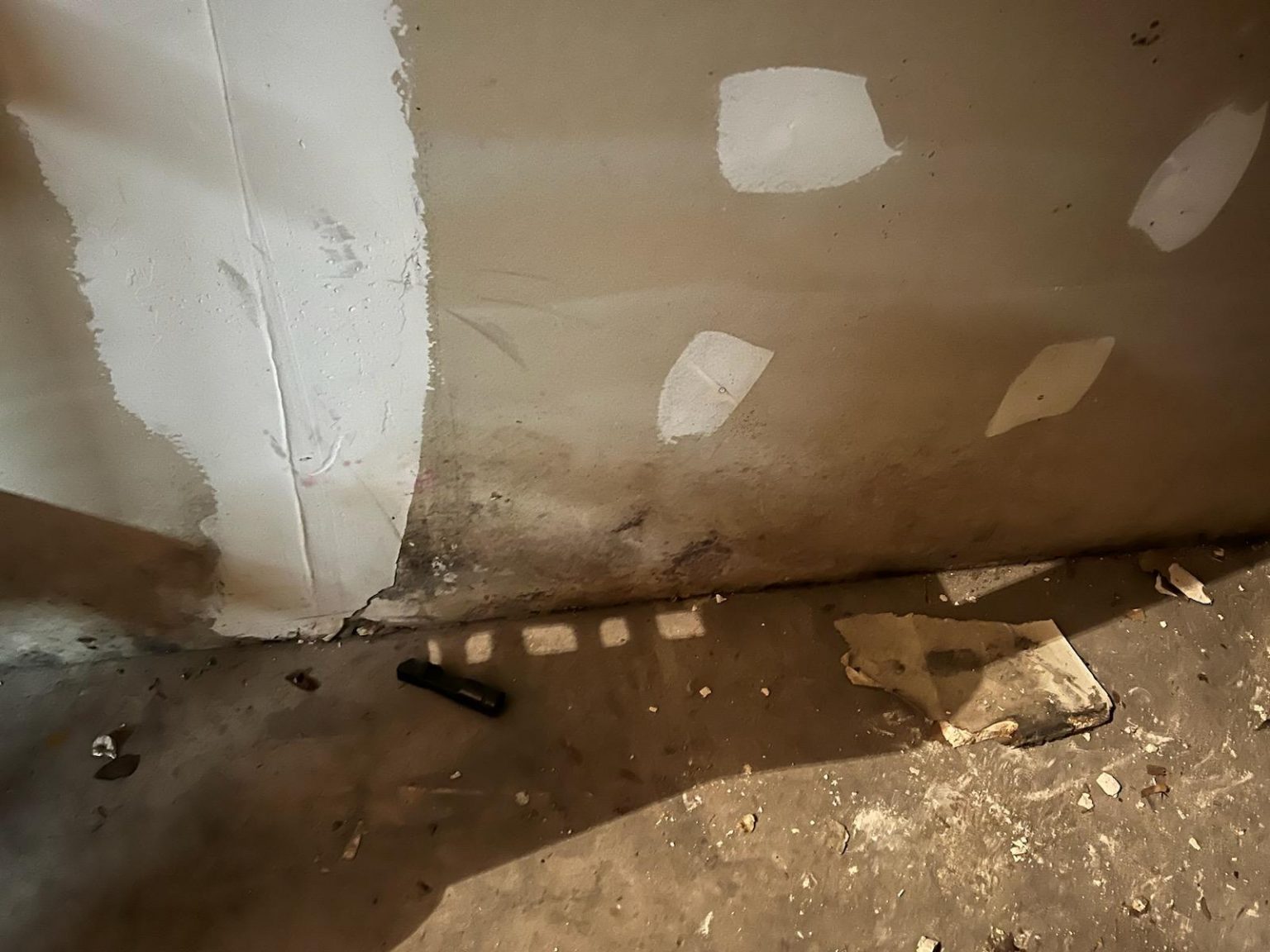 Mold remediation Services in Dallas, Texas | Testing and removal