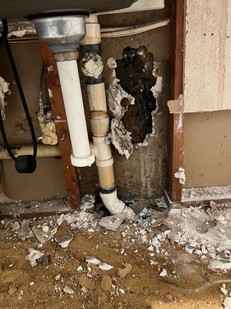 Mold remediation Services in Dallas, Texas | Testing and removal